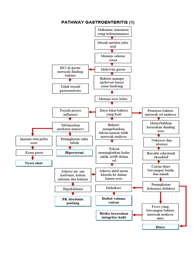 Pathway Gastroenteritis | PDF