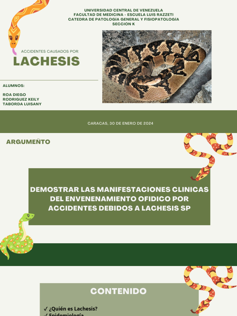 Lachesis SPP | PDF