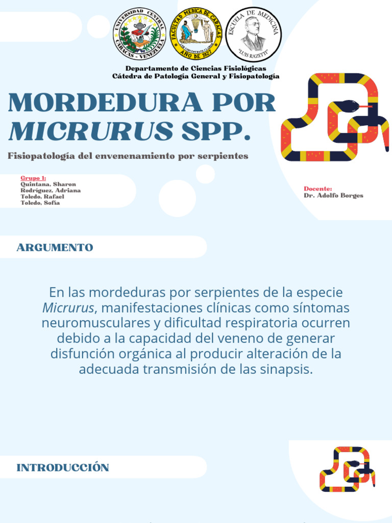 Micrurus SPP | PDF