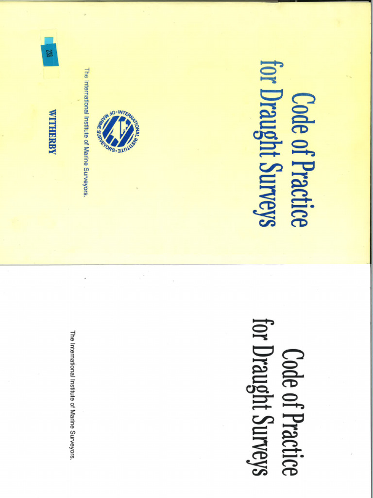 Guia Draft Survey | PDF