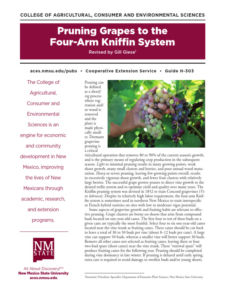 Four Arm Kniffin Trellising | PDF | Vitis | Agriculture