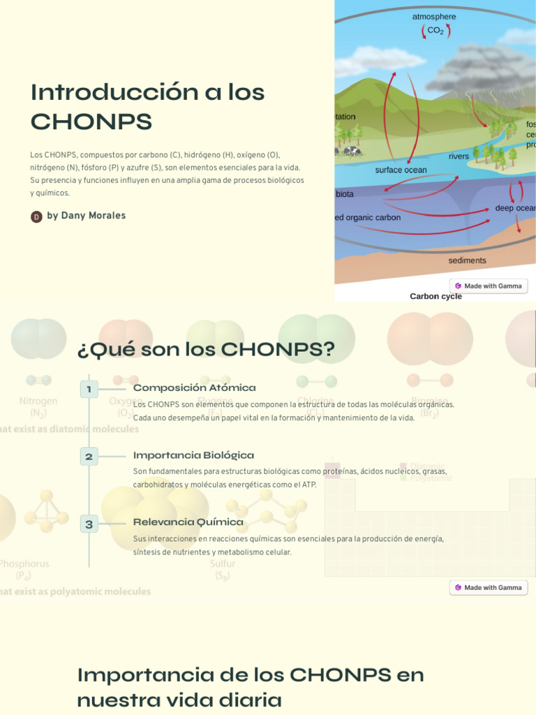 Importancia de los CHONPS en la vida | PDF | Alimentos | Nutrientes