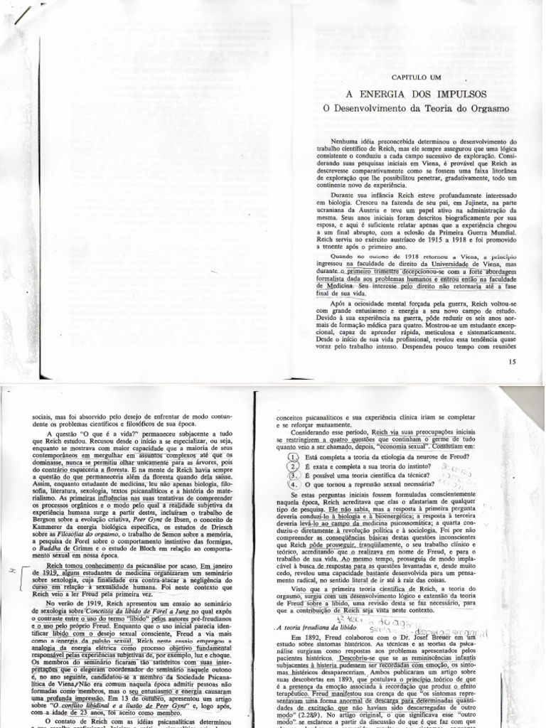 BOADELLA. Nos Caminhos de Reich Cap. 1 e 2 | PDF