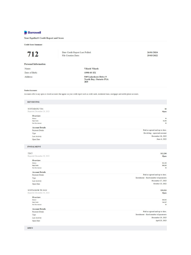 Credit Report | PDF