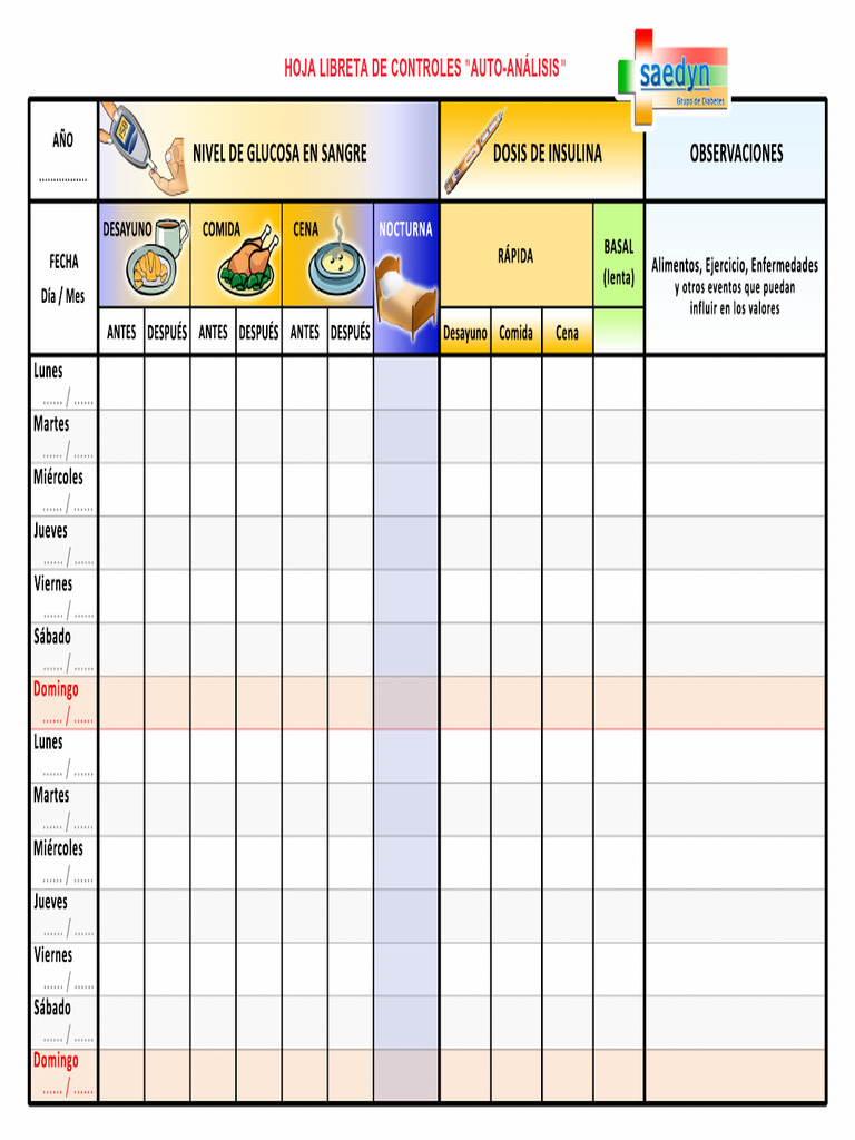 Hoja de Controles de Glucosa o Auto Analisis | PDF