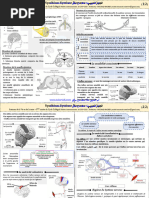 Contrôle SVT 3AC Semestre 2 | PDF | Nerf | Muscle squelettique