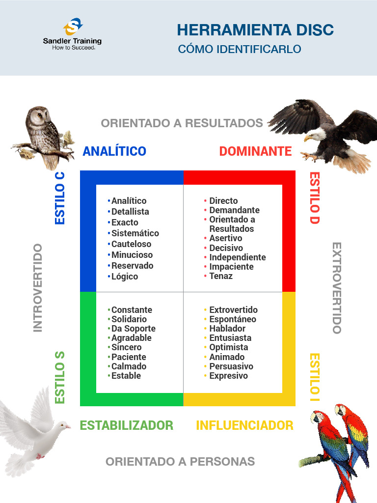 Herramienta DISC | PDF