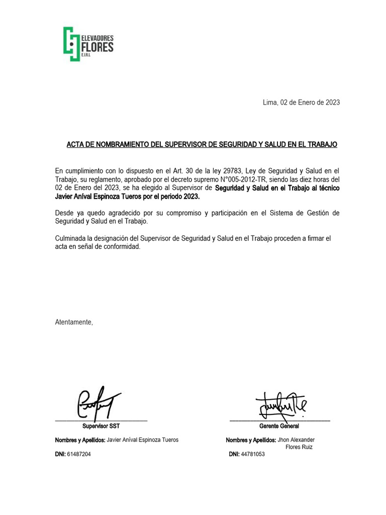 Formato Acta de Nombramiento de Supervisor de SST | PDF | Relaciones personales, crianza y ...