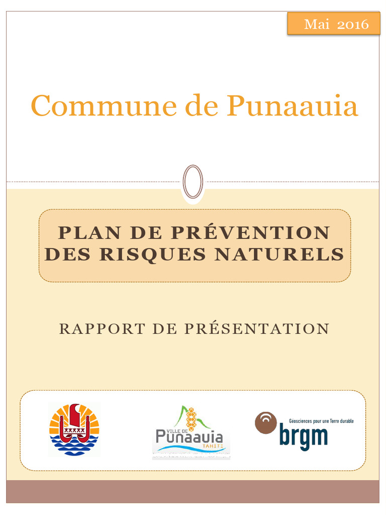 Rapport - Presentation - Copie | PDF
