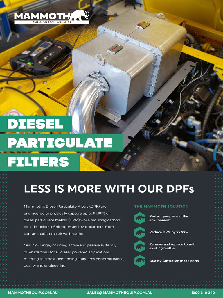 DPF Flyer 2022 | PDF