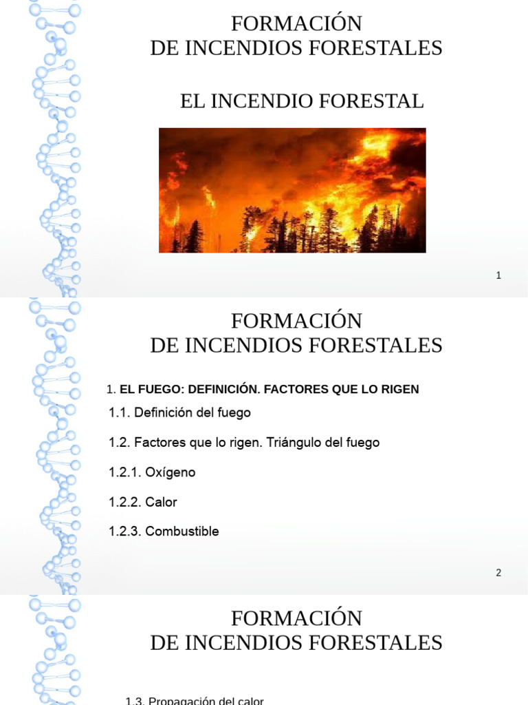 Presentacion Extincion | PDF | Fuego fatuo | Incendios