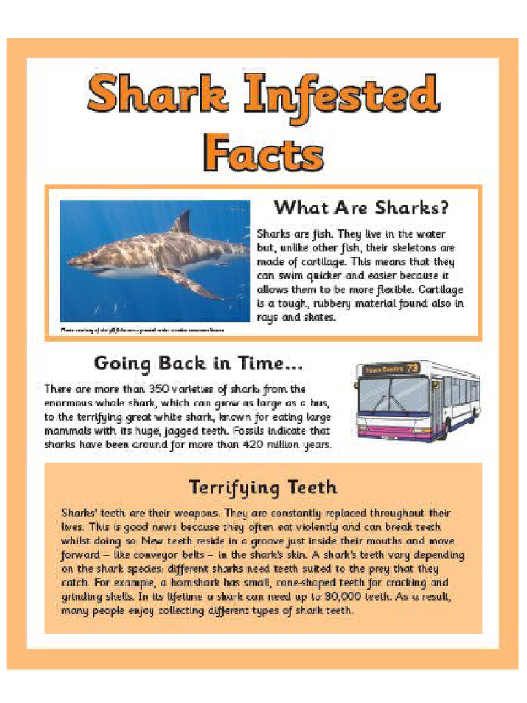 Shark Infested Facts | PDF