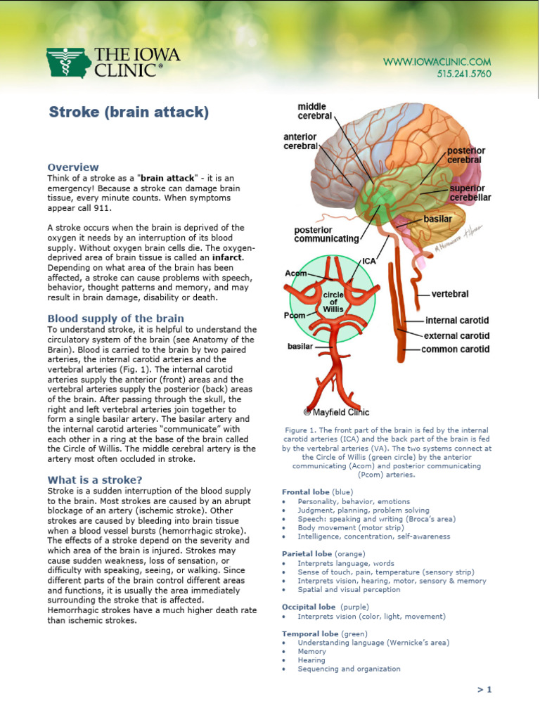 Stroke | PDF