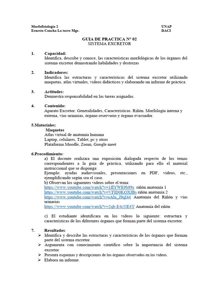 Guia de Practica 02 2023 | PDF