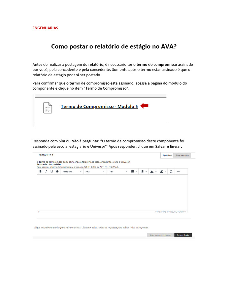 Tutorial Postagem-de-Relatorios AVA Engenharias | PDF