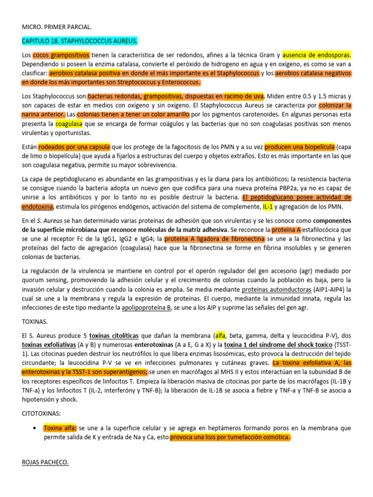 Micro Primer Parcial | PDF