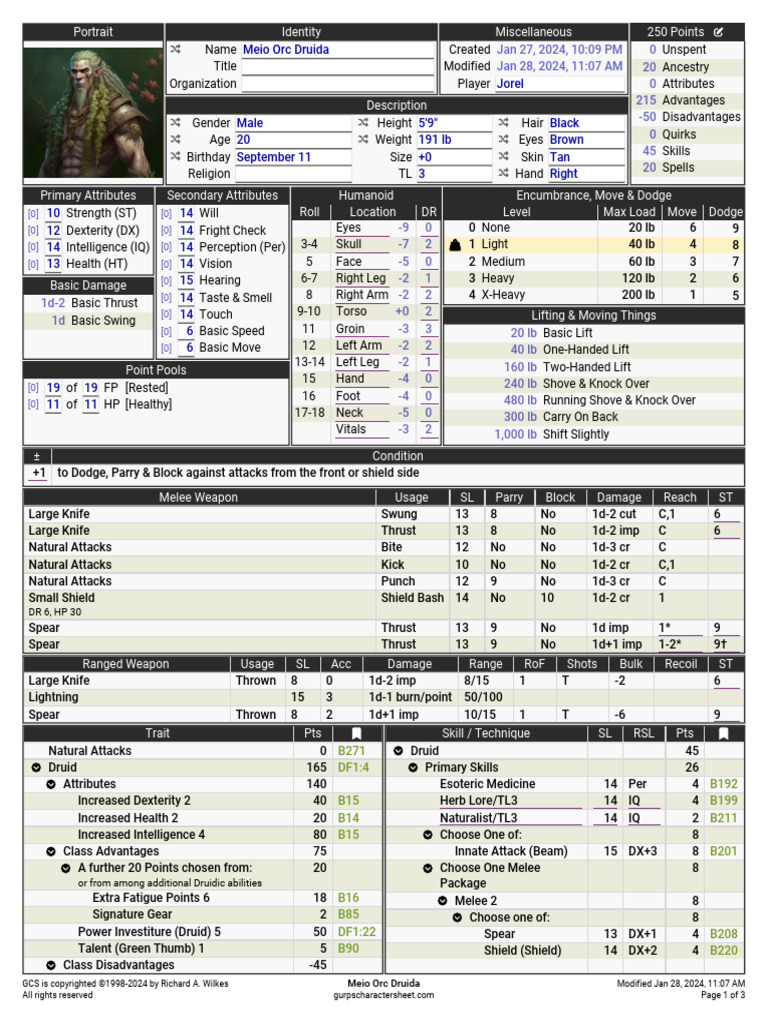 Meio Orc Druida | PDF