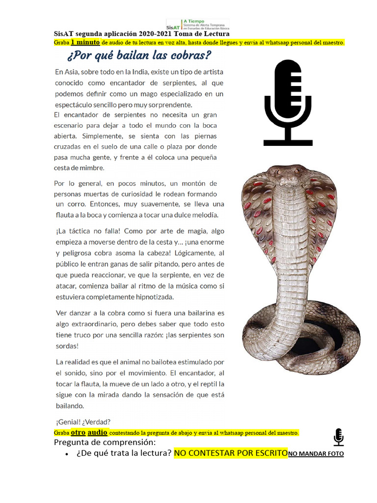 SisAT Segunda Aplicación 2021 | PDF