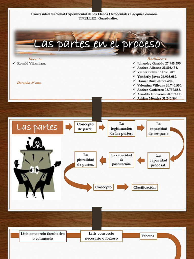 Procesal | PDF | Ley procesal | Gobierno