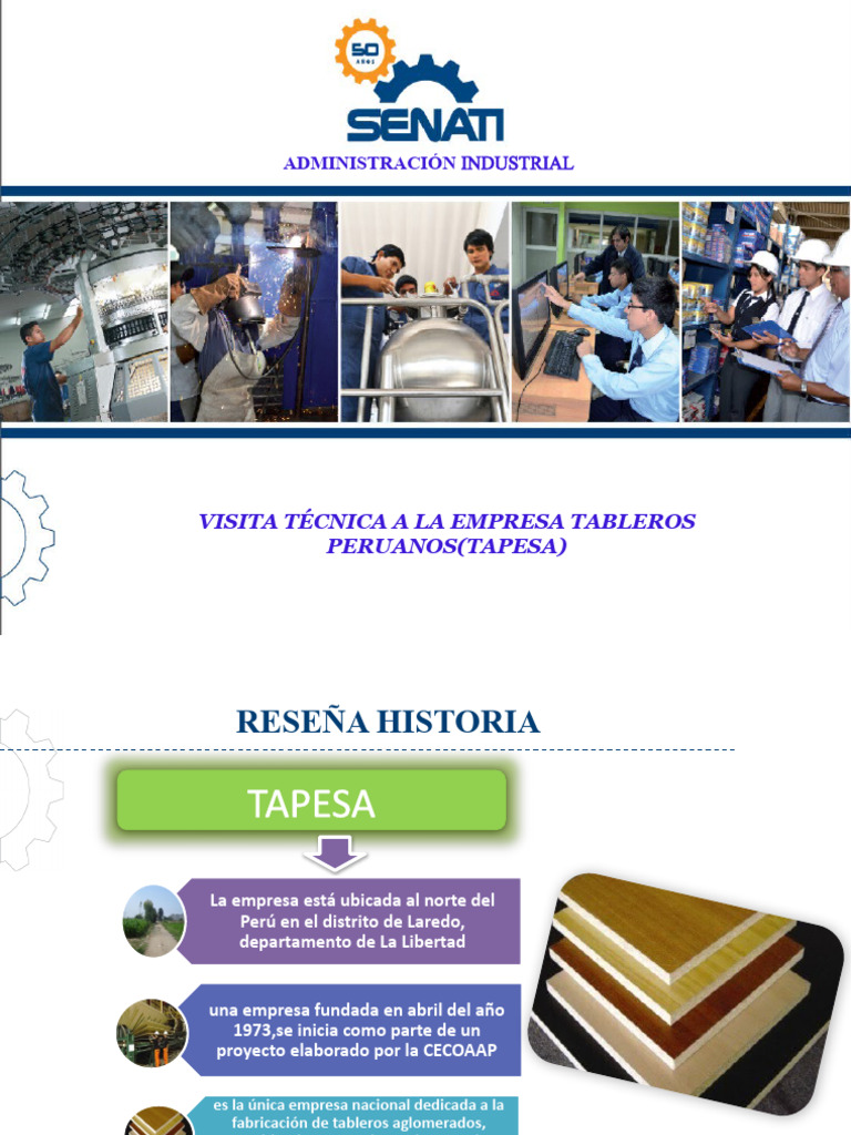 Viista Tecnica TAPESA | PDF | Finanzas y dinero