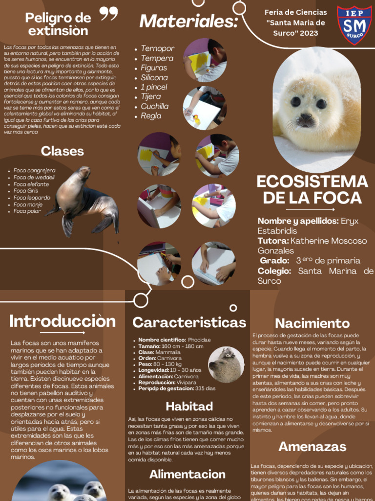 Triptico Del Ecosistema de La Foca | PDF
