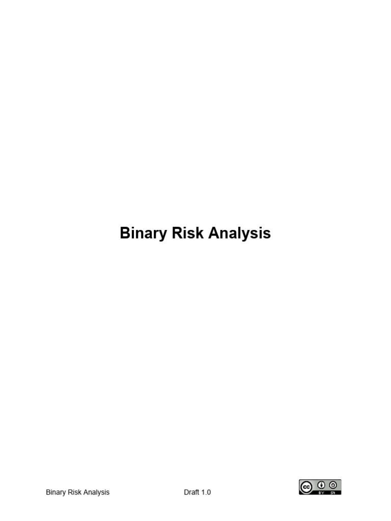 0 RISK BRA - Draft1.1 | PDF | Business