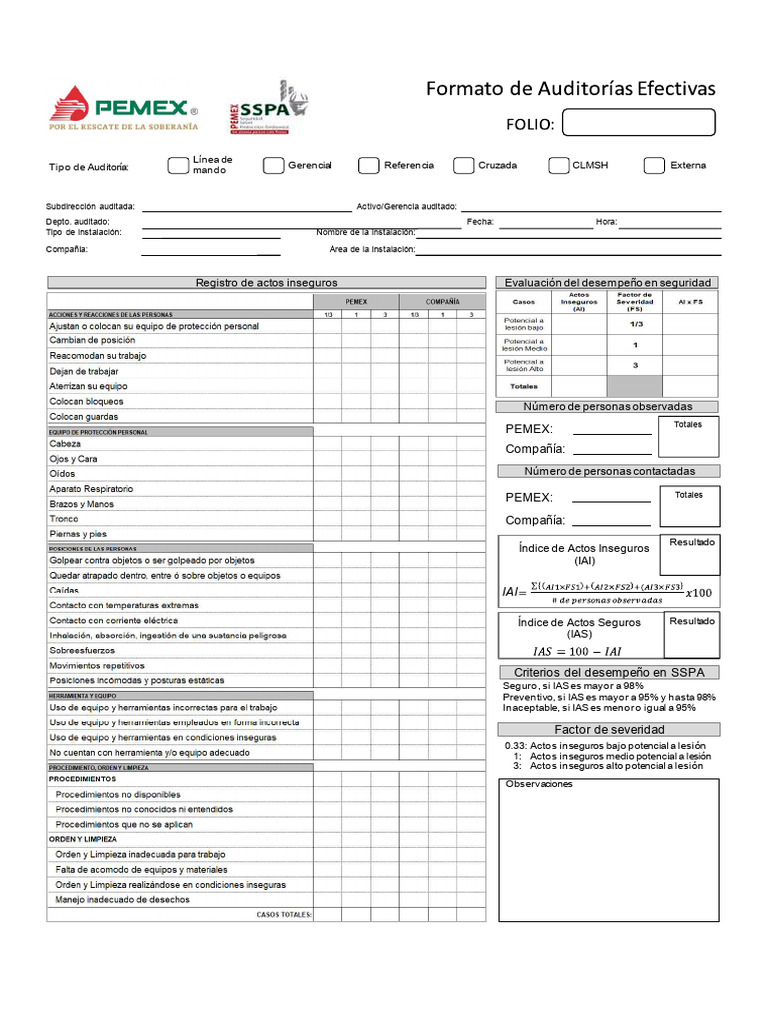 Formato Auditoria Efectiva | PDF | Auditoría | Business
