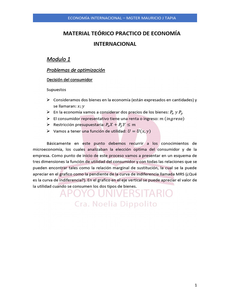 Material Teórico Practico de Economía Internacional | PDF