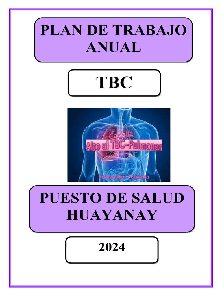 Plan de Trabajo de TBC 2024 | PDF