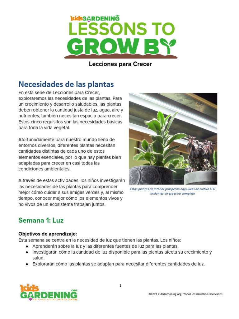 Necesidades de Luz en las Plantas | PDF | Color | Plantas