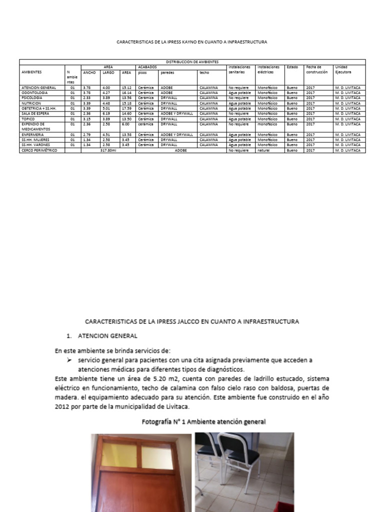 Kayno 100 | PDF