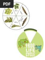 Labeled Diagram of Lizard Parts | PDF | Claw