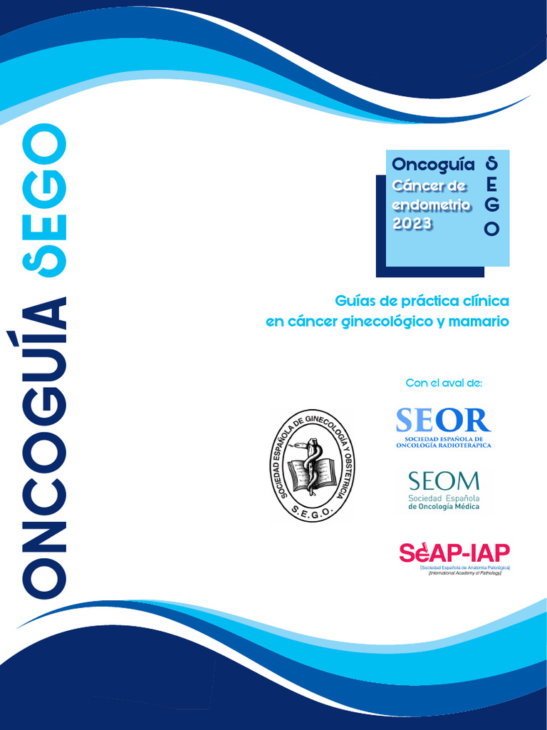 Guía SEGO 2020 | PDF