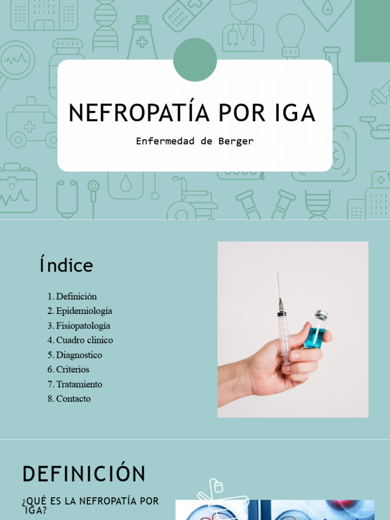 Nefropatía Por Iga | PDF | Medicina | Órgano (anatomía)
