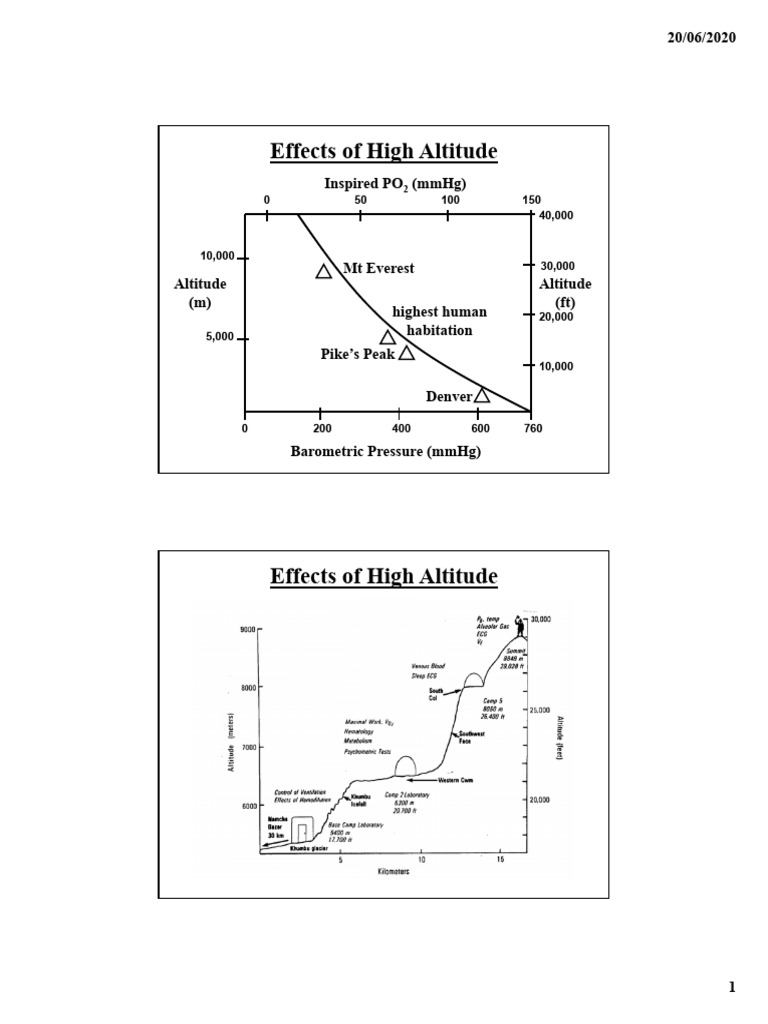 10.6a Lectorial - Exercise at High Altitude Notes | PDF