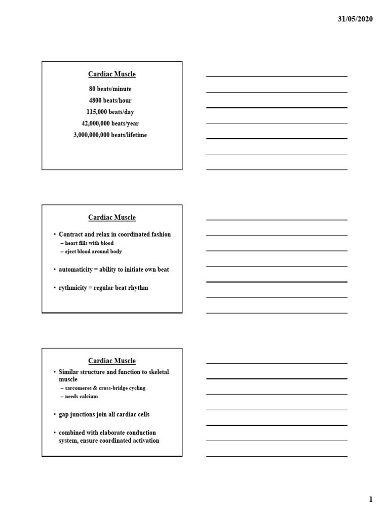 1.3a. Lectorial Cardiac Excitation Notes | PDF | Heart | Cardiac Muscle