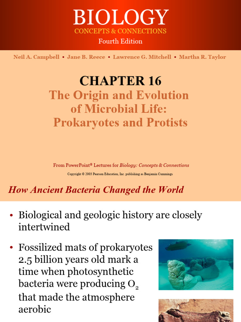 Ch 16 Evolution Of Microbial Life Pdf