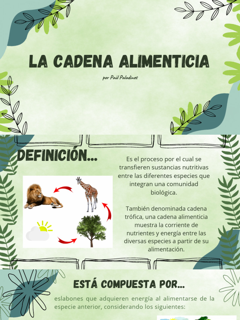 Cadena Alimenticia | PDF | Organismos | Ciencia medioambiental