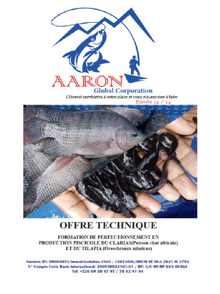 Offre Technique | PDF