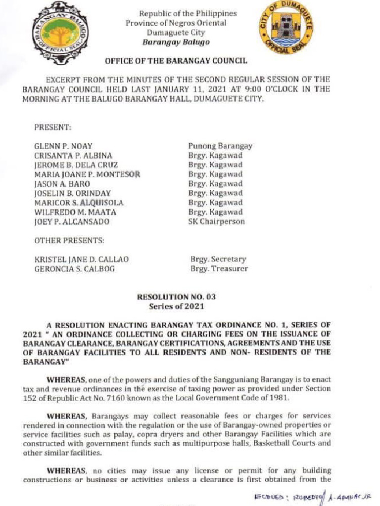 Brgy Ordinance | PDF