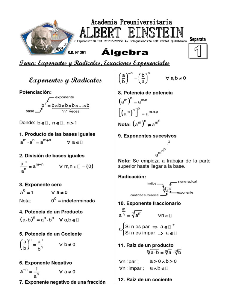 Algebra Albert Einstein Muestra | PDF