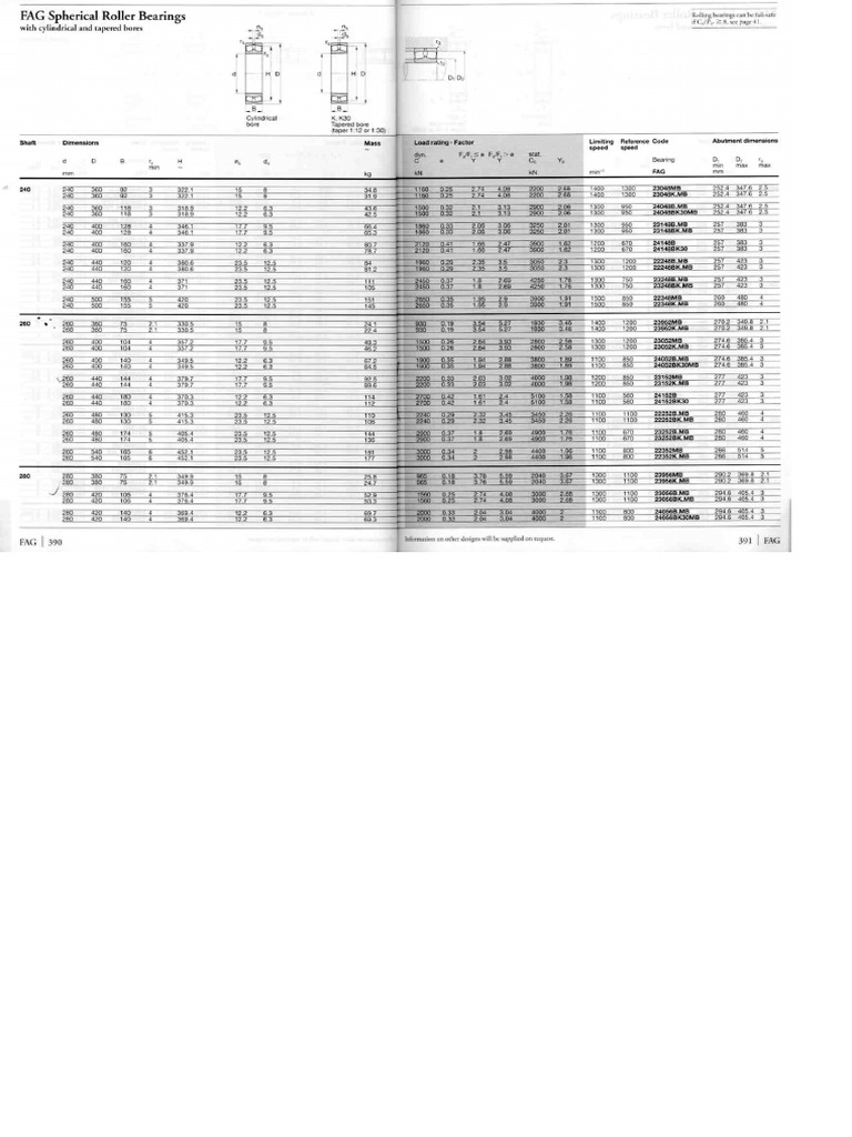 Bearing FAG | PDF
