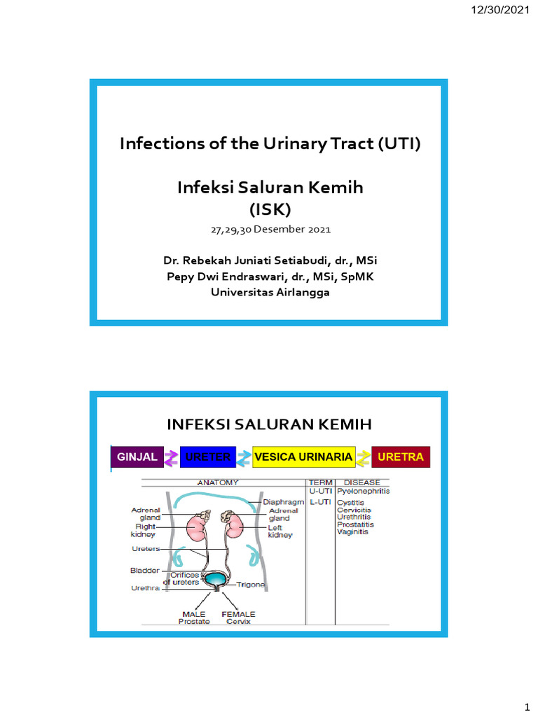 Microbiology of The Kidneys and Urinary System | PDF | Urinary Tract ...