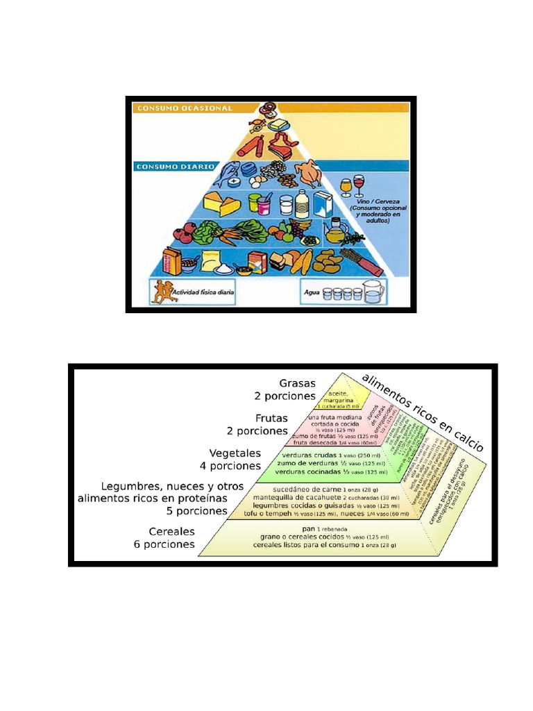 Piramides Alimenticias | PDF