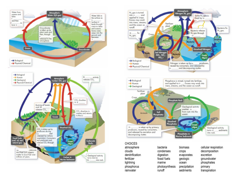 Q1 Env Biogeochem | PDF