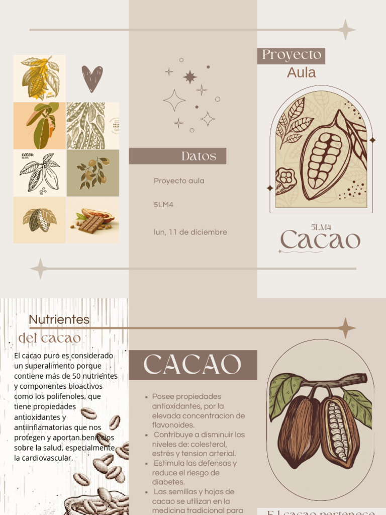 Tríptico Cacao | PDF
