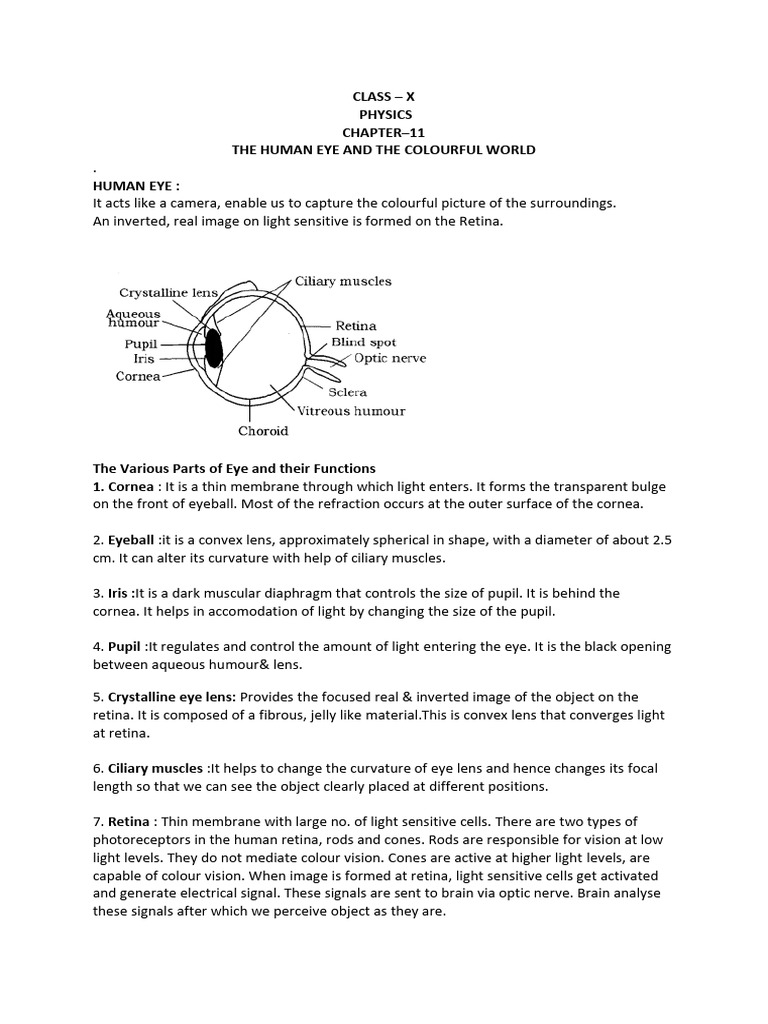 Class 10 Science, CH - 11 Human Eye | PDF