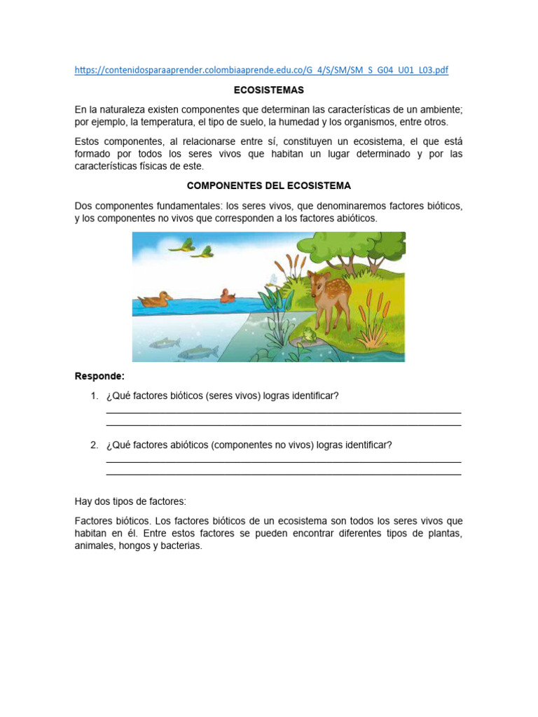 Ecosistemas Grado 4 | PDF