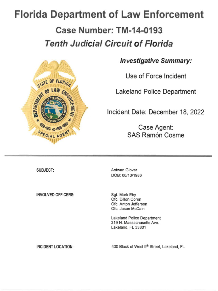 Fdle Summary Report | PDF