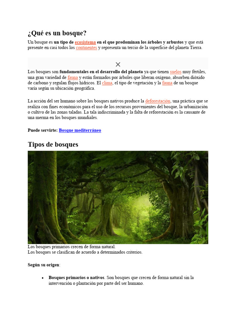 Qué Es Un Bosque | PDF